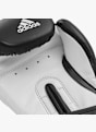 adidas Speed Tilt 250 guantoni da boxe nero | ochsnersport.ch