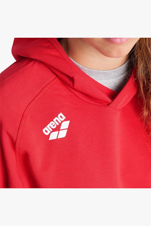 arena Team Hooded Sweat Panel Hoodie in red kaufen | ochsnersport.ch